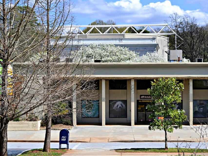 A Look Inside Zoo Atlanta | TSA and Tacos