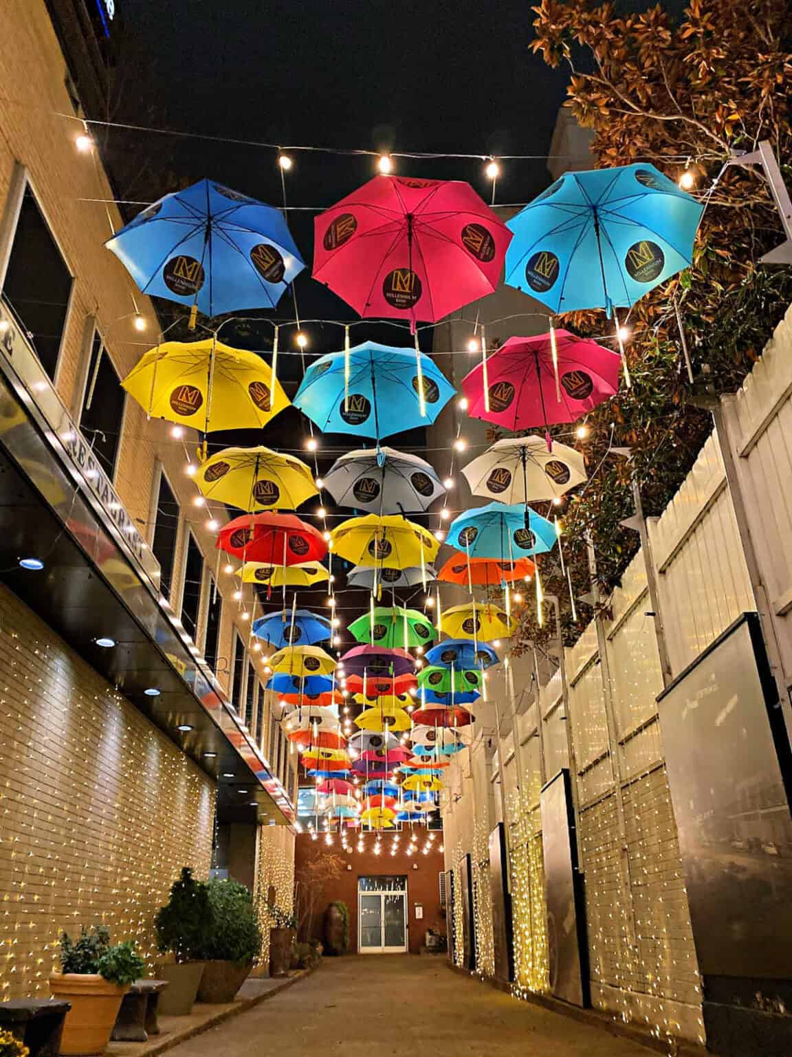 Things To Do In Chattanooga | TSA and Tacos