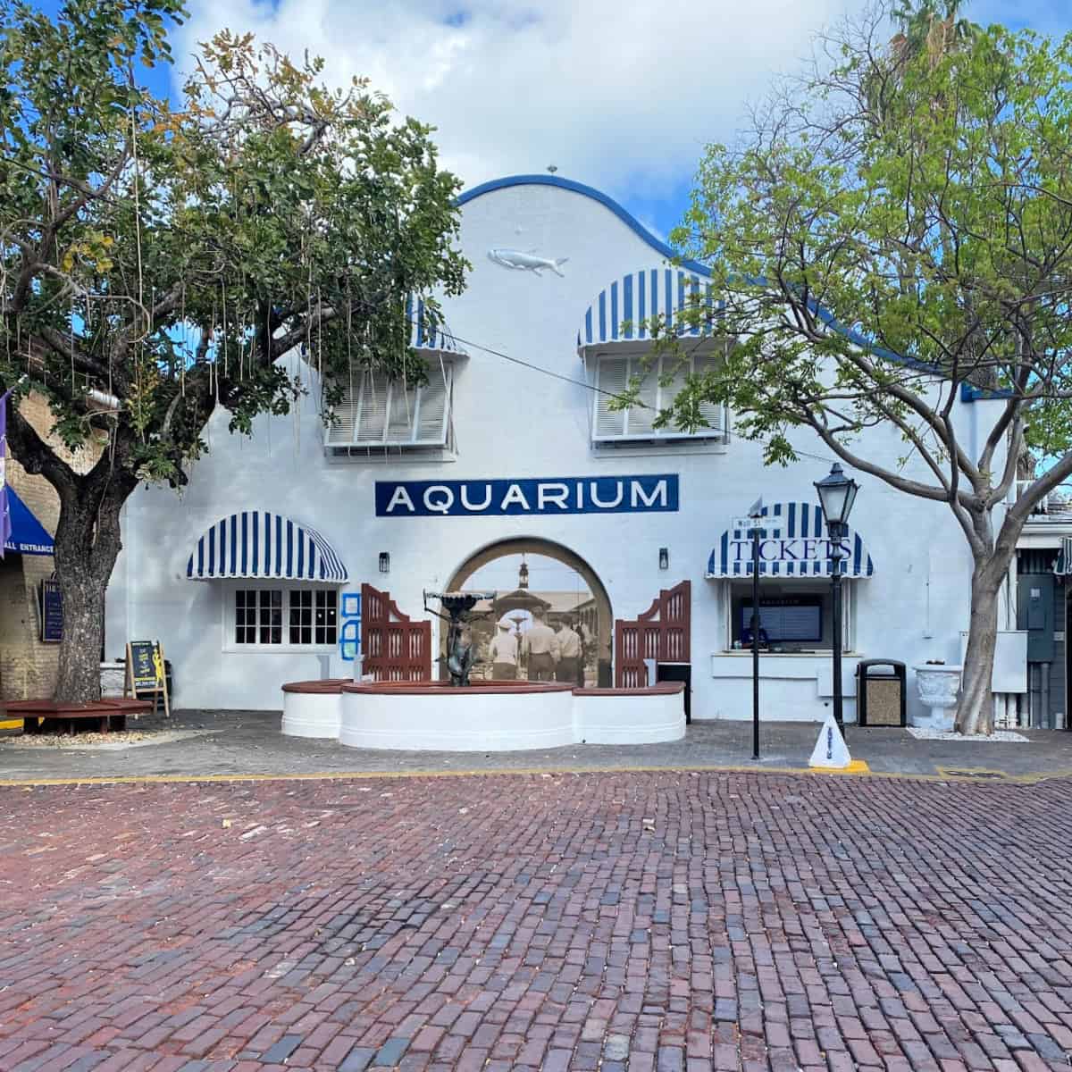 The Key West Aquarium | TSA and Tacos