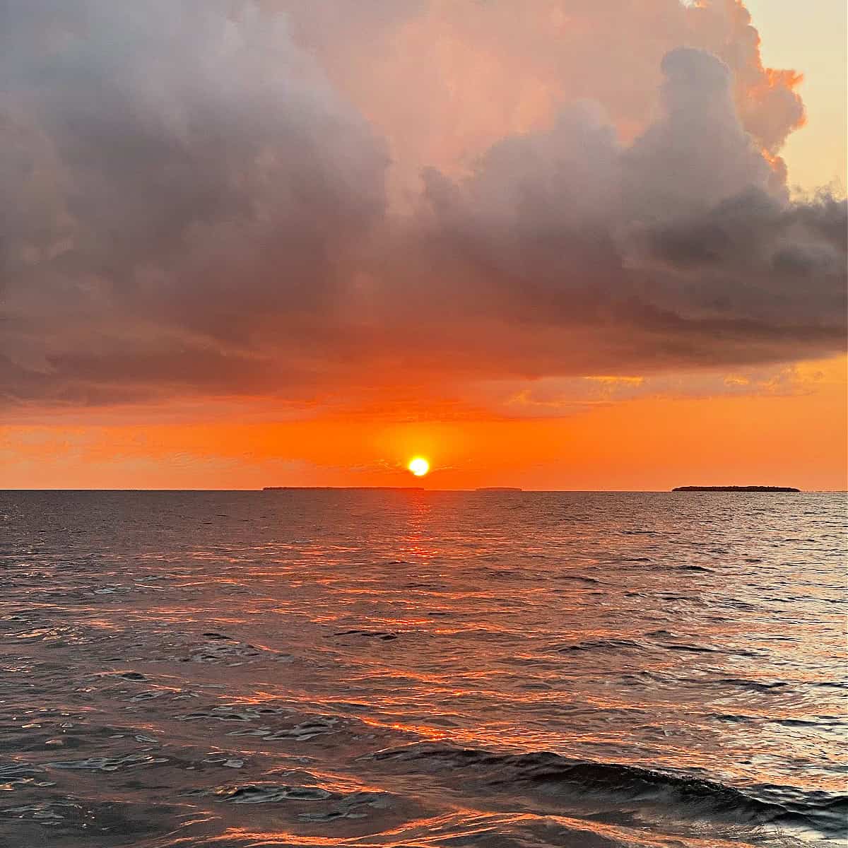 Key West Sunset Cruise with Wine | TSA and Tacos